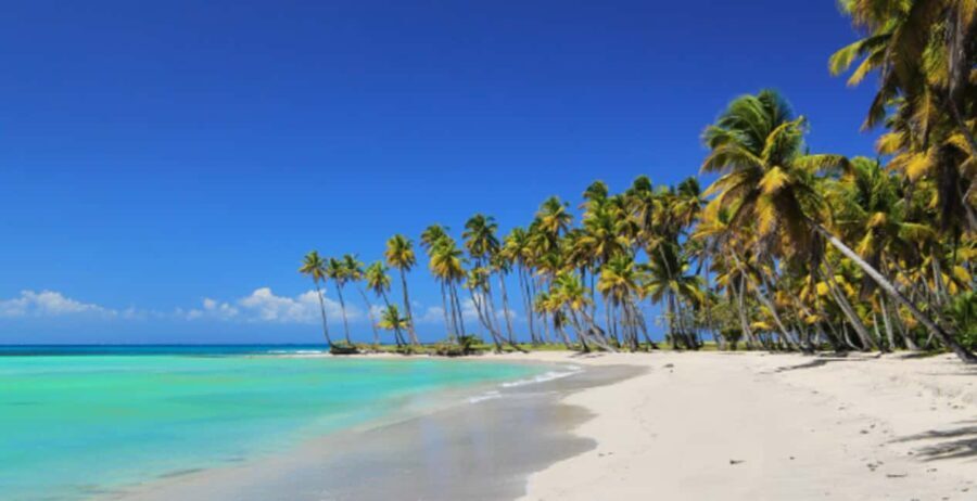 From Punta Cana: Saona Island Boat Trip with Buffet - Practical Tips for Making the Most of Your Trip