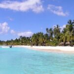 From Punta Cana: Saona Island Catamaran and Speedboat - The Itinerary: What to Expect at Each Step