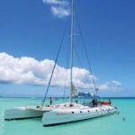 From Punta Cana: Saona Island Day Trip with Lunch and Drinks - Deep Dive: What Makes This Tour Stand Out