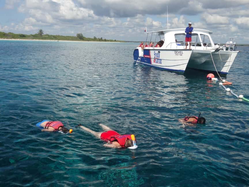 From Punta Cana: Saona Island Full-Day Tour with Lunch - The Natural Swimming Pool: A Highlight