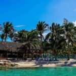 From Punta Cana: Saona Island Speedboat and Catamaran Tour - How Does it Compare Value-wise?