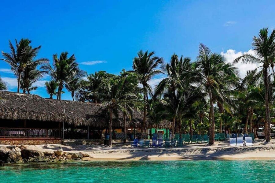 From Punta Cana: Saona Island Speedboat and Catamaran Tour - How Does it Compare Value-wise?