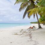 From Punta Cana: Saona Island Trip via Speedboat with Lunch - The Details of the Experience