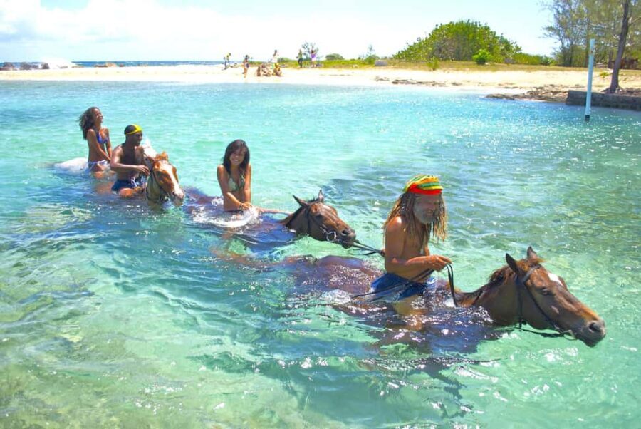 From Runaway Bay: Horseback Ride and Swim Countryside Tour - Practical Details and Insights
