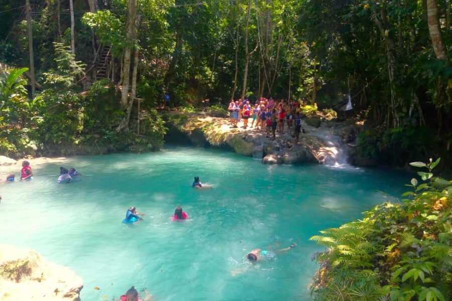From Runaway Bay: Island Gully Falls and Blue Hole Tour - Why This Tour Offers Great Value