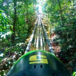 from Runaway Bay: Jamaica Bobsled and Zipline - Why This Tour Offers Real Value