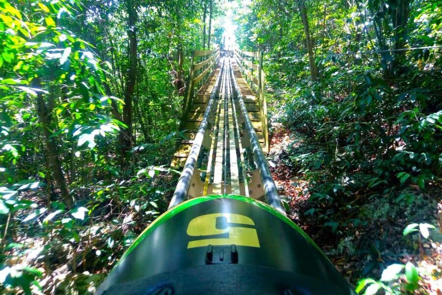 from Runaway Bay: Jamaica Bobsled and Zipline - Why This Tour Offers Real Value