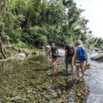 From San Juan: El Yunque Rainforest Hiking Adventure - The Itinerary in Detail