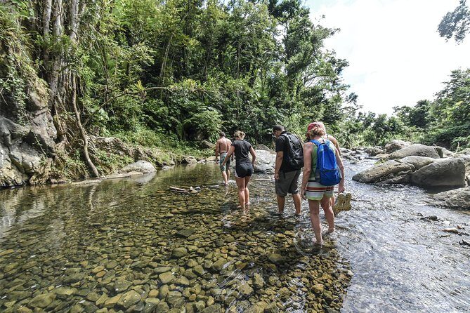 From San Juan: El Yunque Rainforest Hiking Adventure - The Itinerary in Detail
