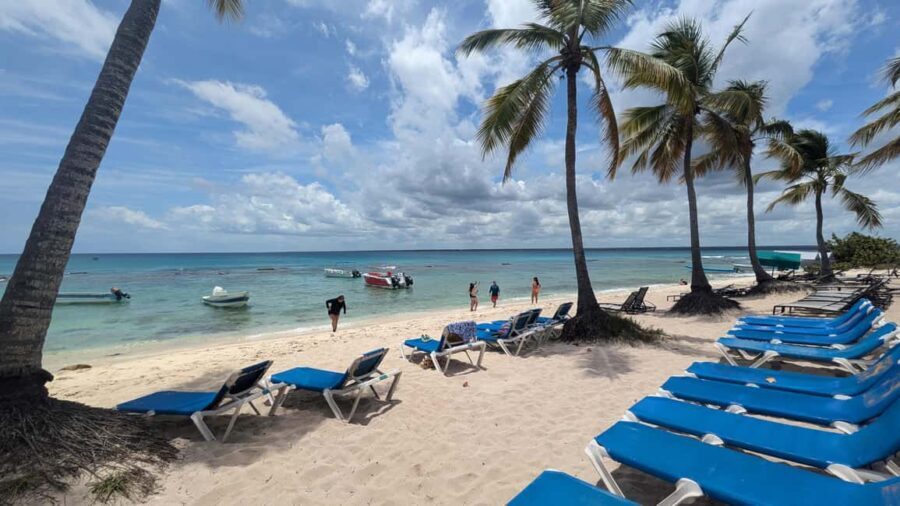 From Santo Domingo: Catalina Island Day Tour - Transportation and Timing: What You Should Know