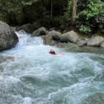 From Santo Domingo: Hiking and Hidden River Tour in Bonao - The Forest Hike: Natures Quiet Beauty