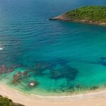 From St John's: Half Moon Bay Beach Half-Day Trip by Van - Key Points