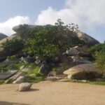 Full-Day Aruba Sightseeing island Tour with Baby Beach Swim - What Makes This Tour Stand Out