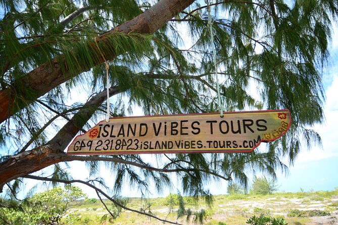 Full Day Beach BBQ Lunch & Snorkeling Excursion in Grace Bay - Authentic Insights from Reviews