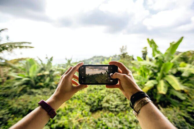 Full Day Blue Mountains Tour including Lunch - What Travelers Are Saying