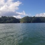 Full-Day Boat Tour of Los Haitises National Park - Authentic Experiences and What Travelers Say