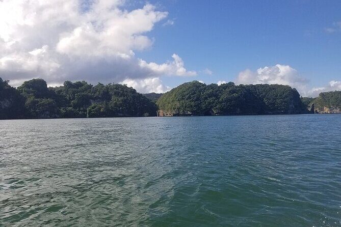 Full-Day Boat Tour of Los Haitises National Park - Authentic Experiences and What Travelers Say