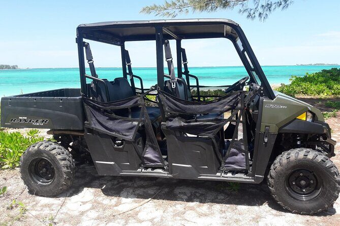 Full Day Buggy Rental in Nassau - The Experience: Freedom and Flexibility