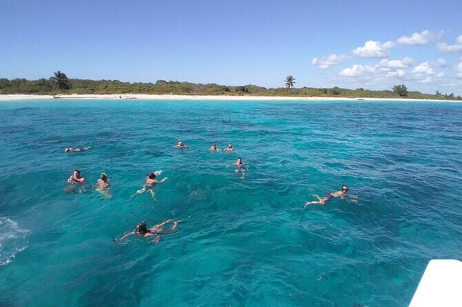 Full Day Catalina Island Snorkeling Adventure & Altos de Chavon - Transportation and Timing Considerations