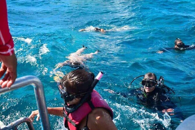 Full-Day Catalina Island Snorkeling Excursion from Punta Cana - What the Tour Means for You: Practical Insights