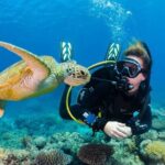 Full Day Catalina Island With Scuba Diving - Why This Tour Might Be Perfect for You