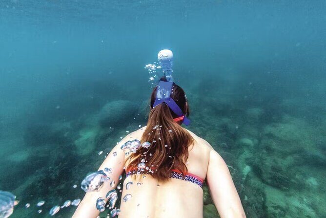 Full-Day Catamaran Snorkeling Tour with Lunch from Puerto Plata - Snorkeling at 3 Rocks Cove and Other Stops