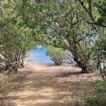 Full Day Eastern Island Tour - Final Thoughts