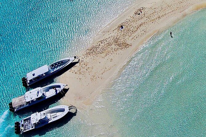 Full Day Exuma Swimming Pigs - Group Boat Tour From Nassau - What Travelers Say