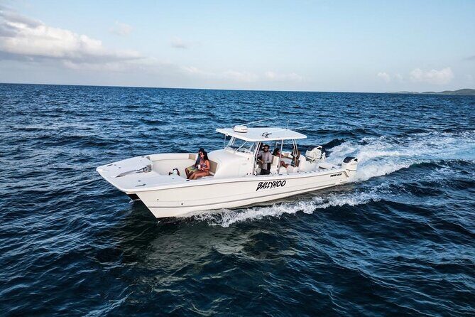 Full-Day Fishing Charter in East Coast, Puerto Rico - The Sum Up