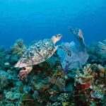 Full Day Fishing, Snorkeling, Iguana Island, Cruising, BBQ - Who Will Love This Tour?