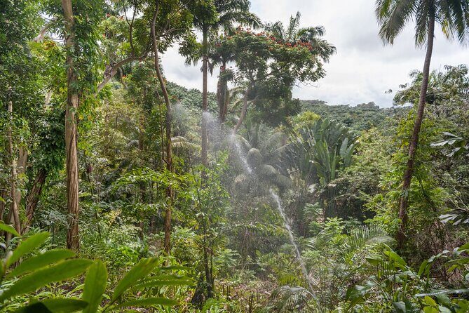 Full Day Garden Delight Private Tour in Barbados - The Charm of Andromeda Botanic Gardens