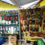 Full-Day Guided Tour to Dunns River Falls & shopping with lunch - The Experience of Climbing Dunn’s River Falls