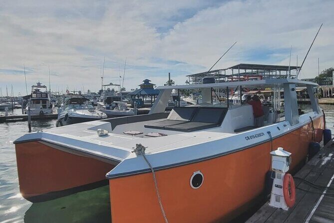 Full Day Luxury Snorkel Charter With Lunch (Minimum 10 Guests) - The Itinerary: What to Expect from Morning to Afternoon