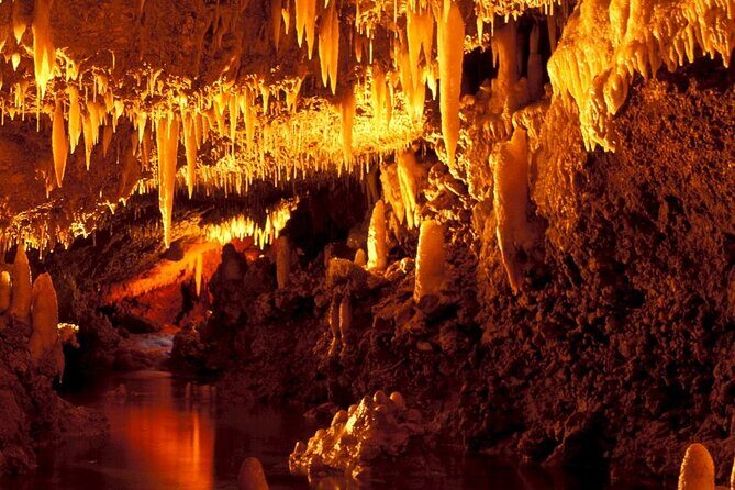 Full-Day Natural Heritage Tour in Barbados with Lunch - What Past Travelers Say