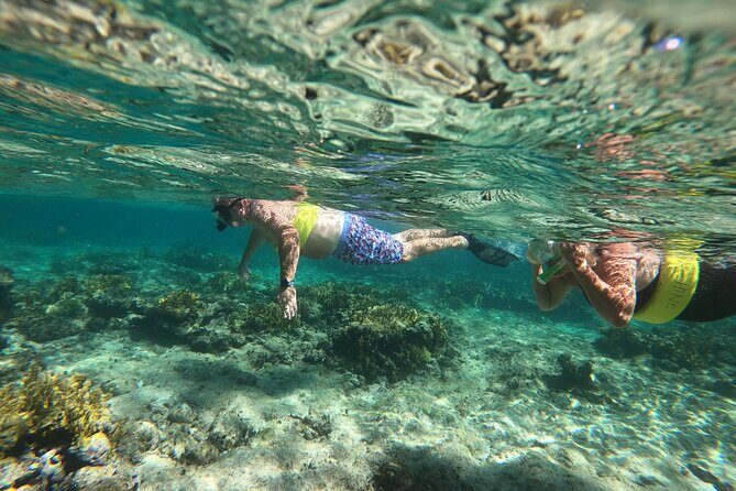Full Day Private Boat Snorkeling, Sightseeing and Beach BBQ - Who Should Consider This Tour?