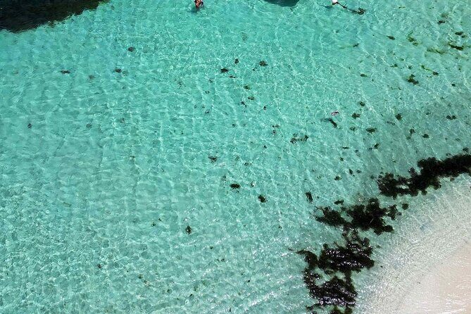 Full Day Private Boat Tour to the Lagoon of Guadeloupe - What Does the Price Cover?