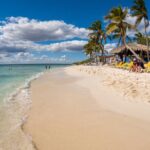 Full Day Private Catalina Island Tour by Speedboat - Practical Insights for Travelers