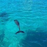Full Day Private Charter Tour Turks and Caicos - The Sum Up