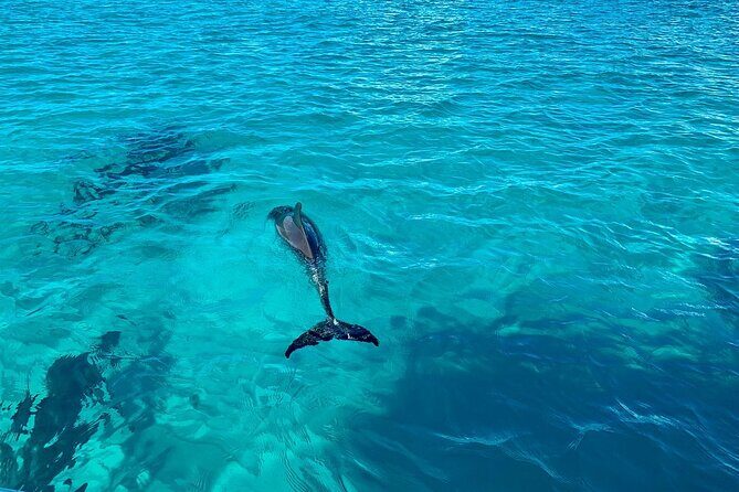 Full Day Private Charter Tour Turks and Caicos - The Sum Up