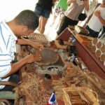 Full-Day Safari Tour from Punta Cana - Exploring the Itinerary: What You’ll Experience