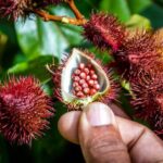 Full Day Safari Tour with Local Touch including Lunch - Practical Details and Tips