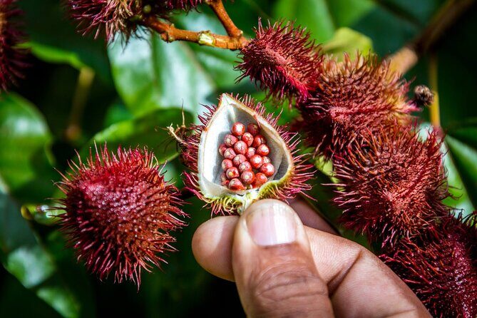 Full Day Safari Tour with Local Touch including Lunch - Practical Details and Tips