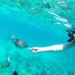 Full Day Sail and Snorkel with Turtles - The value of this trip