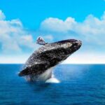 Full-Day Samana with Waterfall & Bacardi Island from Punta Cana - Analyzing Value and Practicality