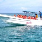 Full Day Saona Canto Beach & Mano Juan Adventure From Cap Cana - The Itinerary in Detail