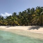 Full-Day Saona Island Escape  Beaches, Adventure, Paradise Vibes - Overview of the Experience