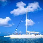 Full-Day Saona Island Excursion with Catamaran Party - Authentic Traveler Insights
