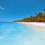 Full day - Saona Island from punta cana - Who Should Consider This Tour?