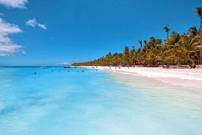Full day - Saona Island from punta cana - Who Should Consider This Tour?