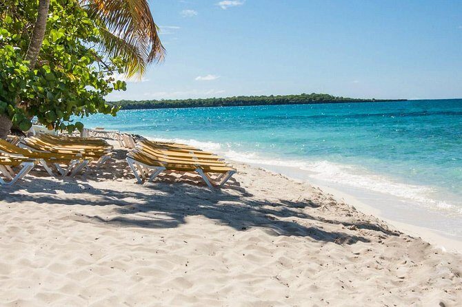 Full-Day Scuba Diving Catalina Island Tour from Bavaro - Practical Details and Tips